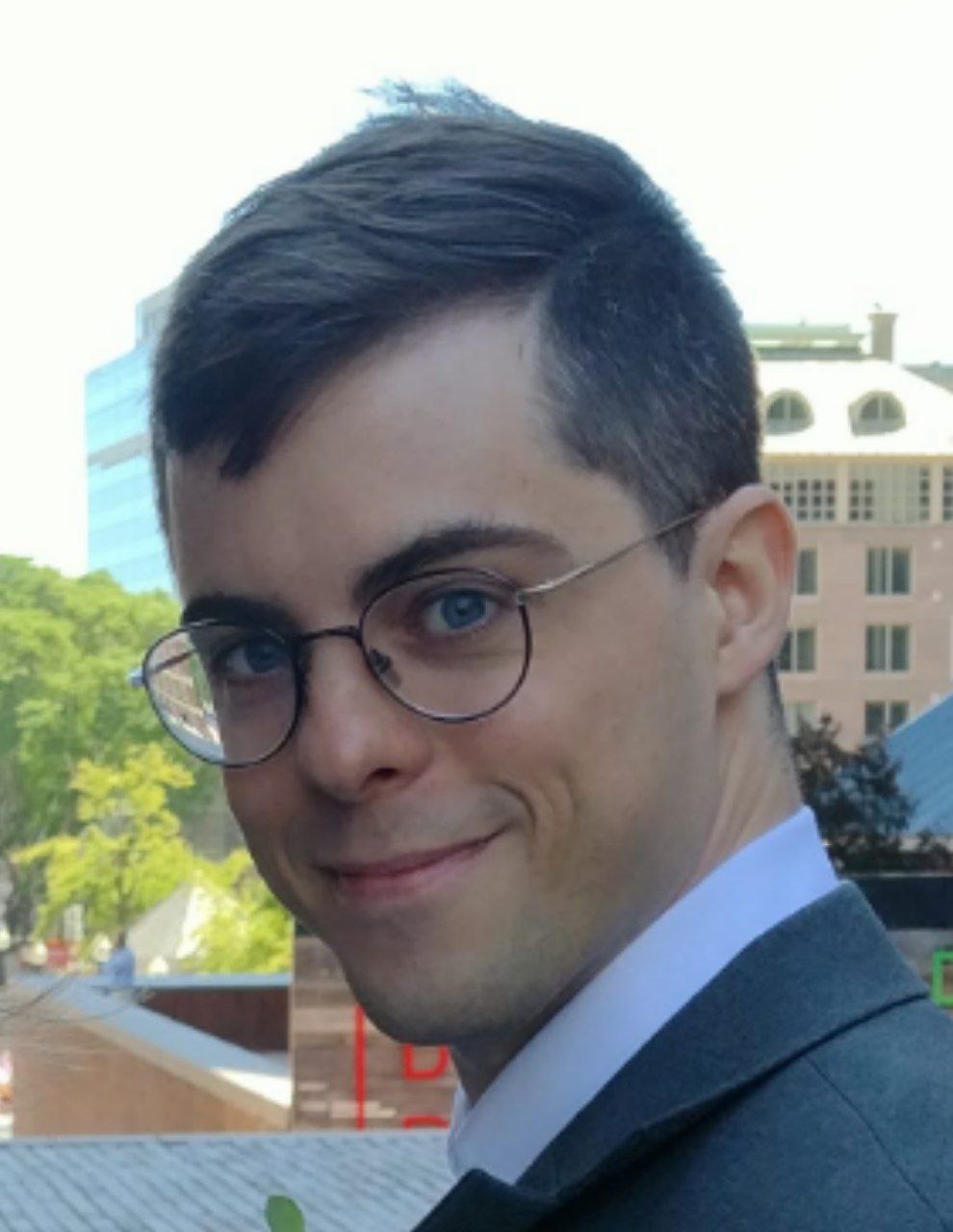 Bottleneck stable invariants of multiparameter persistence modules via ...